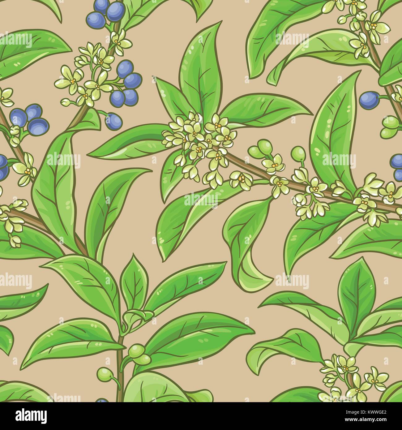 osmanthus branches vector pattern on color background Stock Vector ...