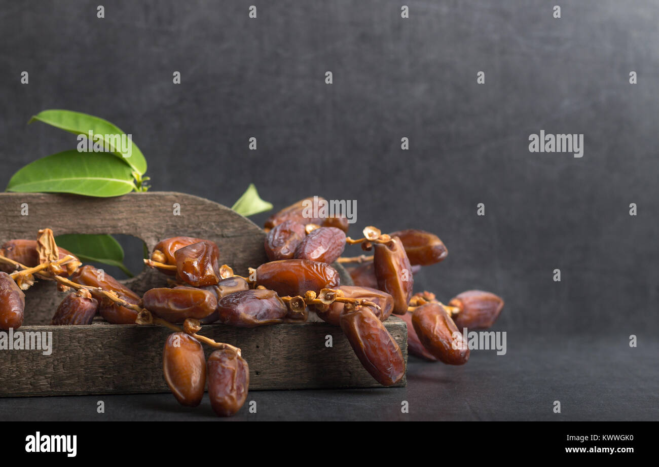 fresh harvested dates on a grey background Stock Photo - Alamy