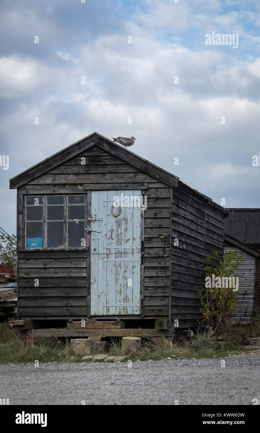 Old Fishermans Hut with Seagull Stock Photo - Alamy