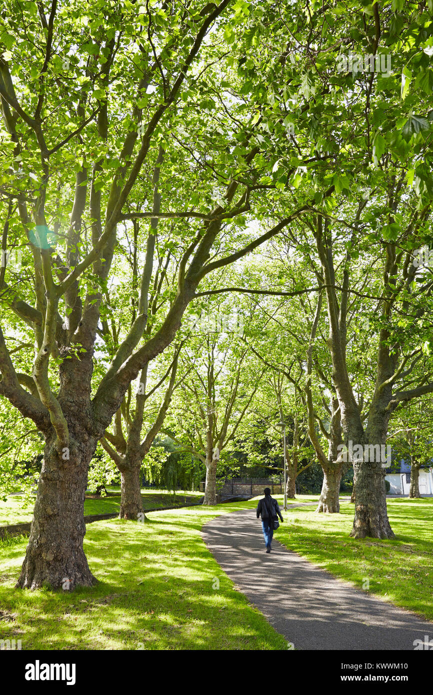 Burnt oak hi-res stock photography and images - Alamy