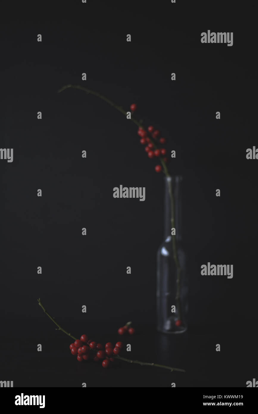 Life style home hi-res stock photography and images - Alamy