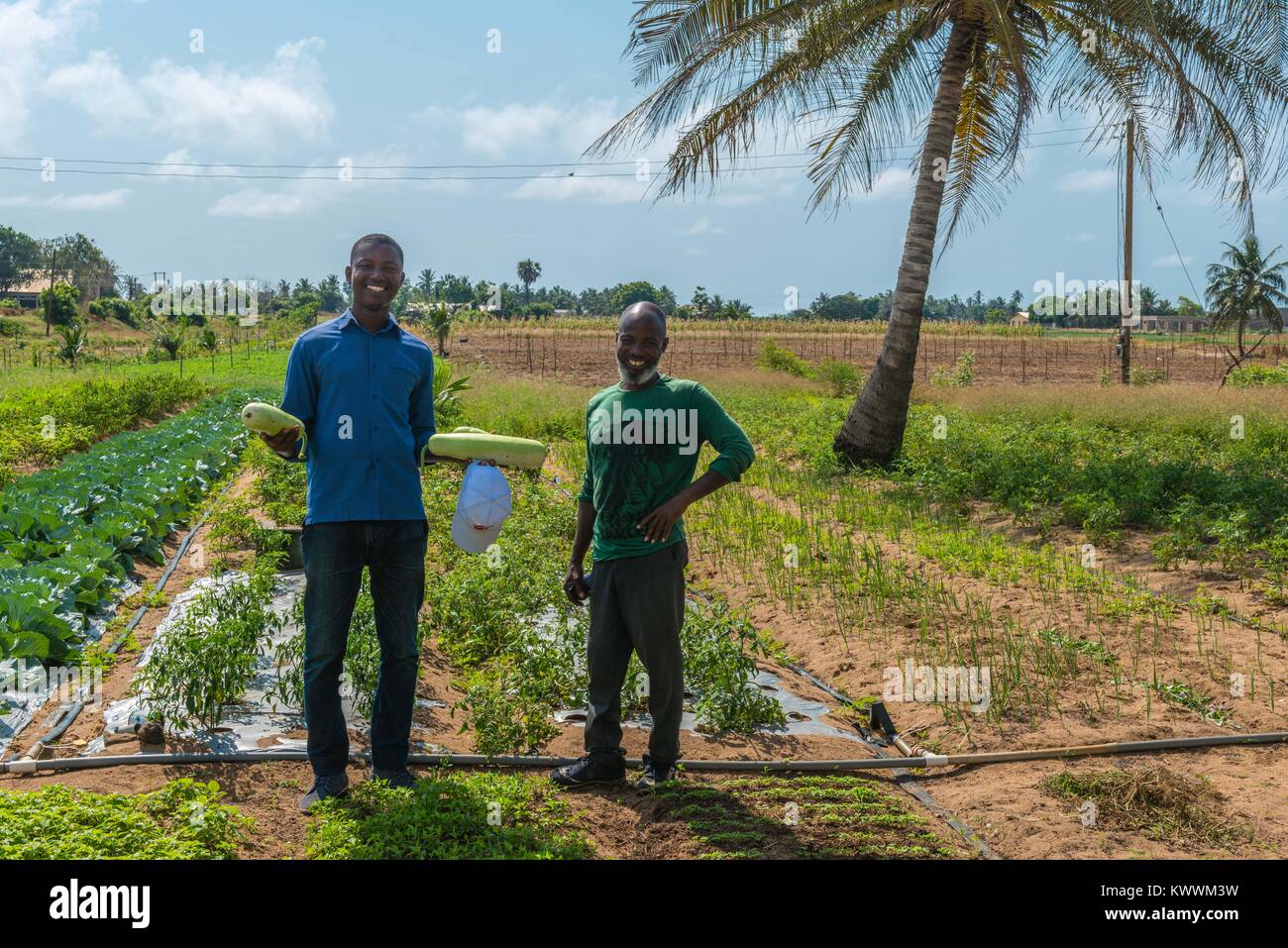 Farmer africa vegetables hi-res stock photography and images - Alamy