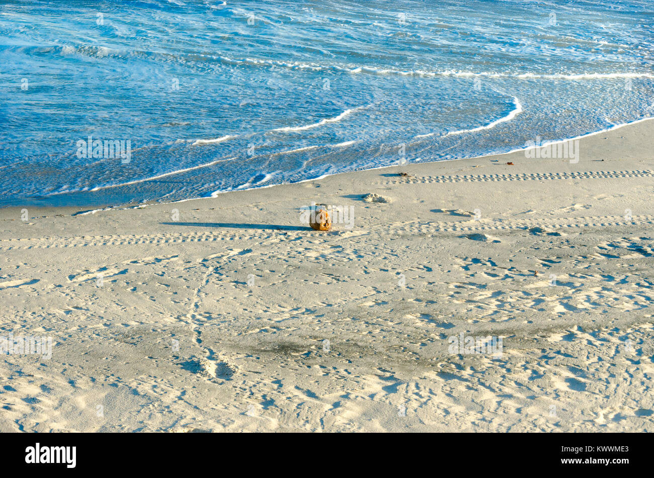Coconut view of a white sand beach in Ceara Brazil Stock Photo - Alamy