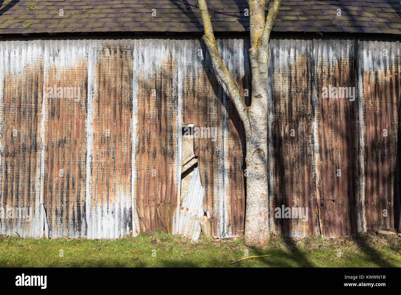 Rusty metal cladding sheets on the side of a farm building. England UK ...