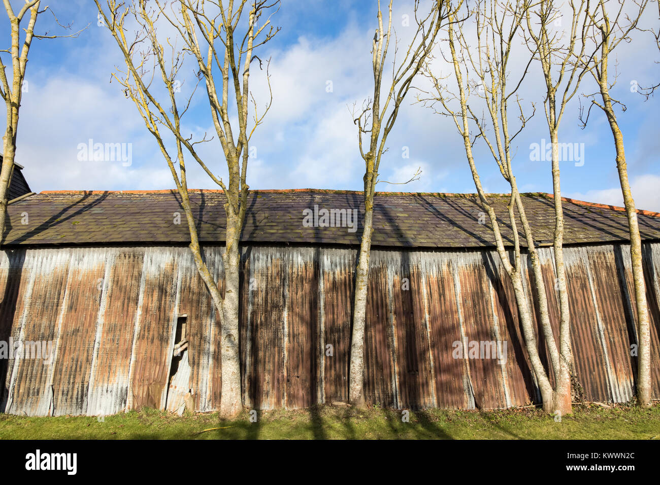 Rusty metal cladding sheets on the side of a farm building. England UK ...