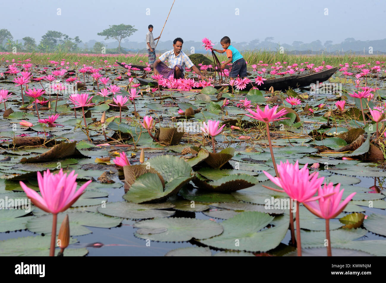 GOPALGANJ, BANGLADESH - NOVEMBER 11, 2016: A Bangladeshi people ...