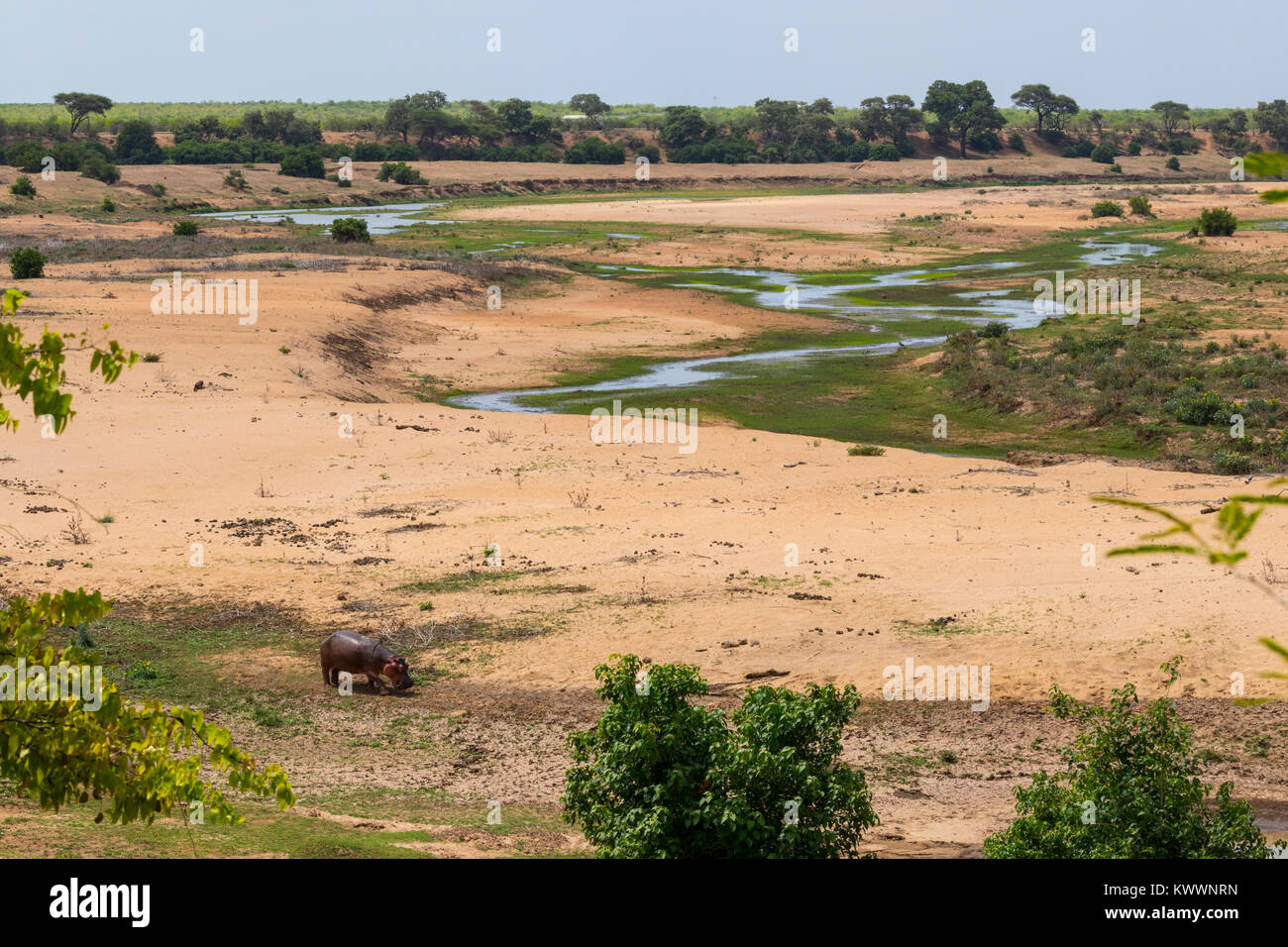 Letaba river hi-res stock photography and images - Alamy