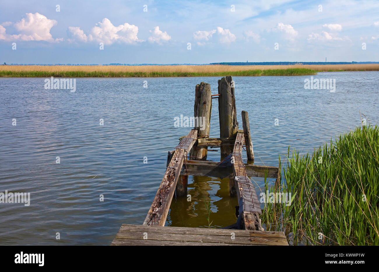 Bodden landscape at Zingster Strom, Zingst, Fishland, Mecklenburg ...