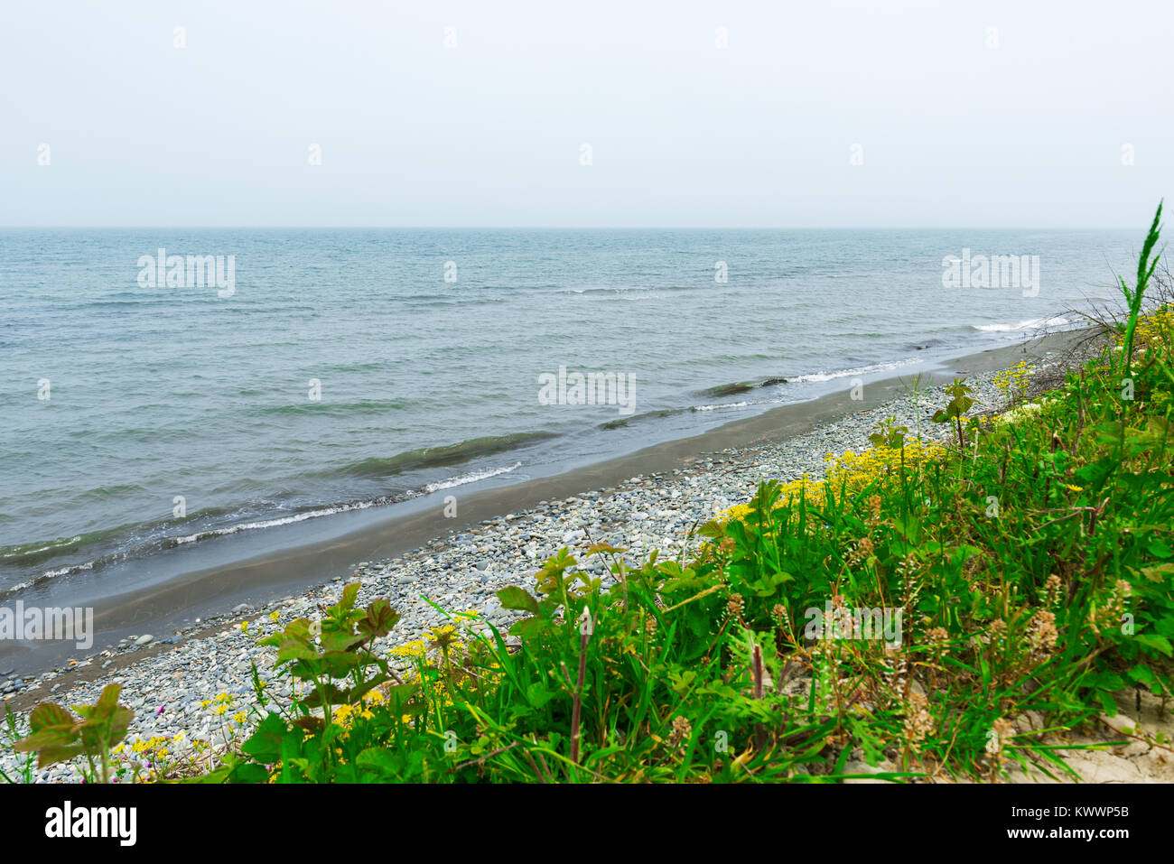 Beautiful sea shore Stock Photo - Alamy