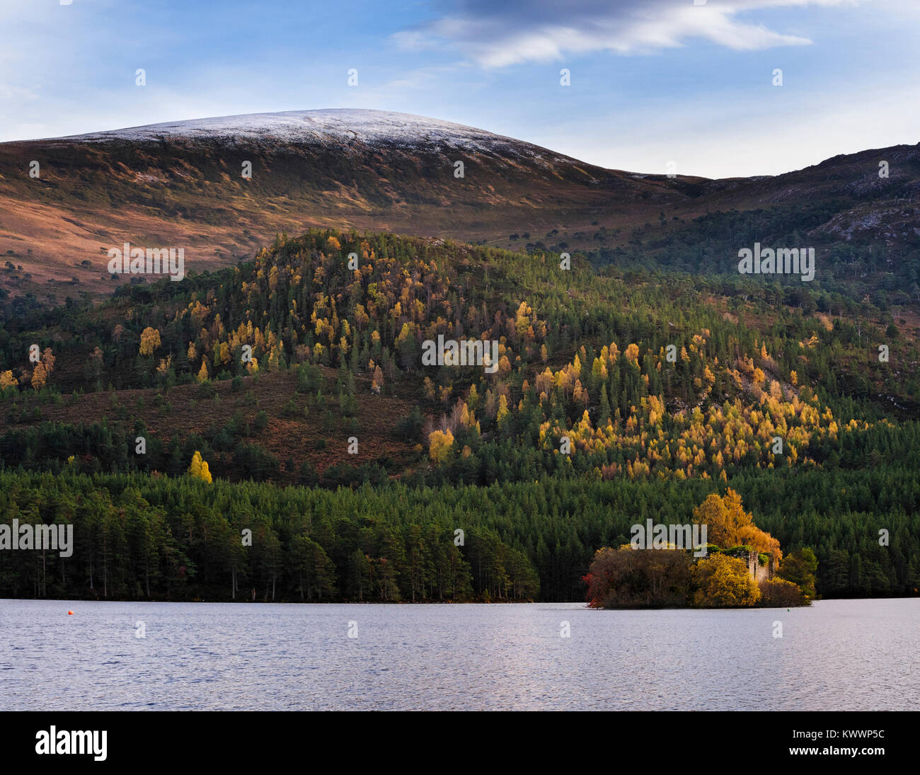 Rothiemurchus forest hi-res stock photography and images - Alamy
