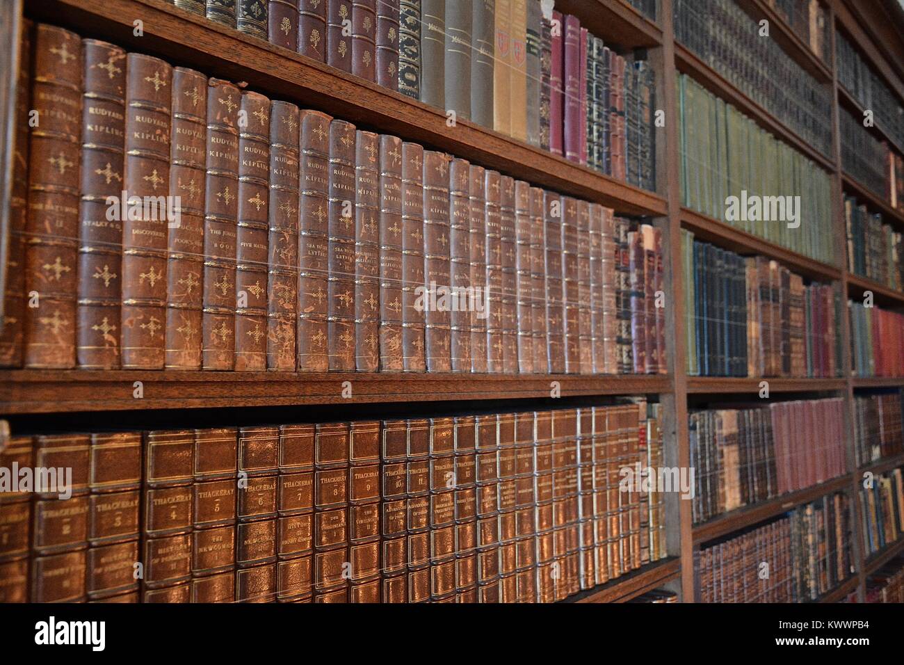 An antique and historical library containing many old leather-bound ...