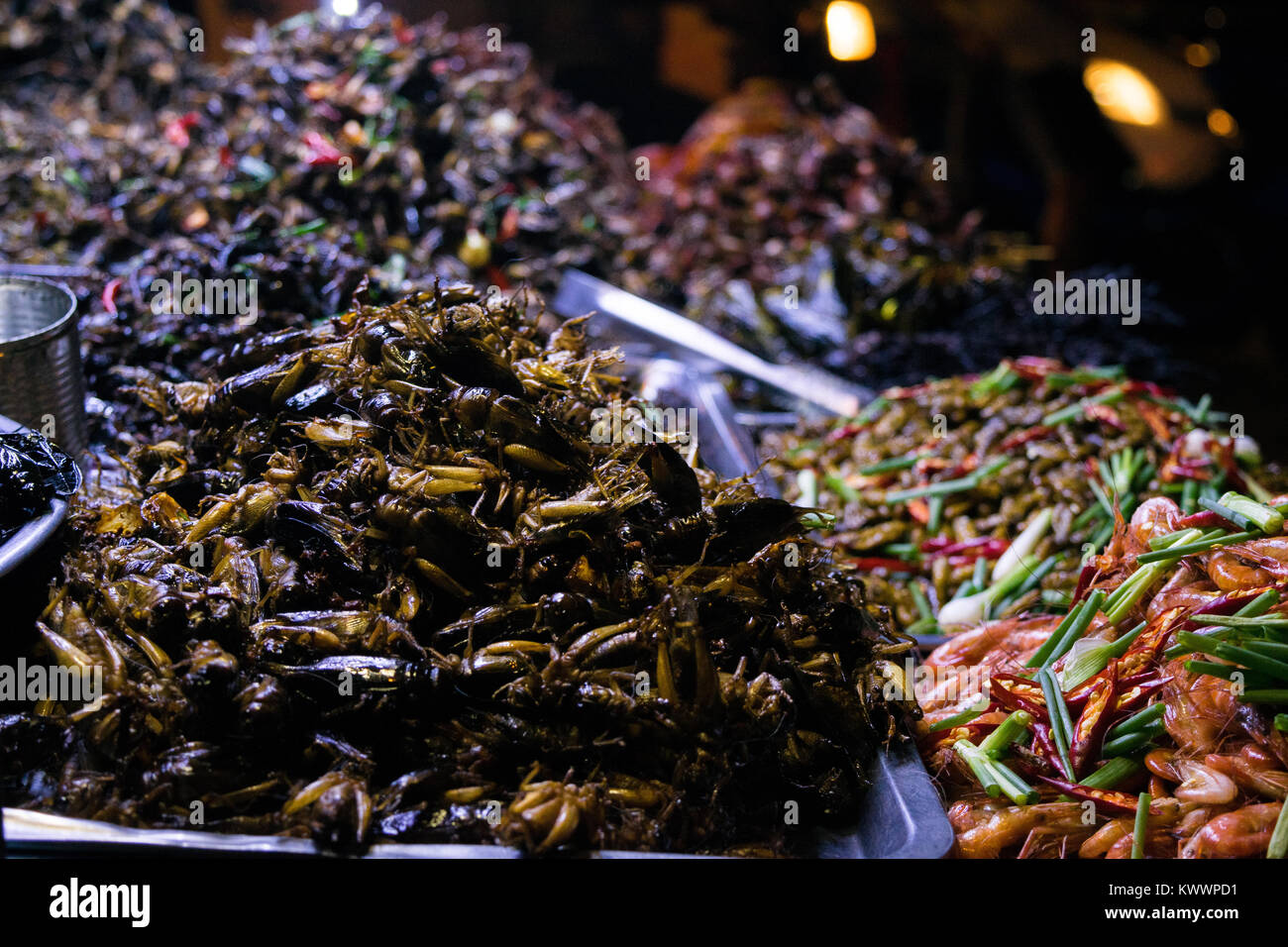 A stall selling Asian cuisine street food, including fried insects ...