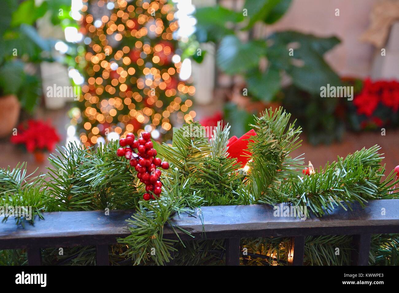 The Hyde Collection/Museum decorated for the Christmas and Holiday ...