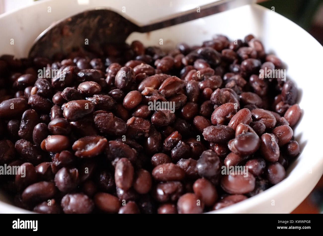 Healthy typical italian legumes dish ready to be eat on the plate ...