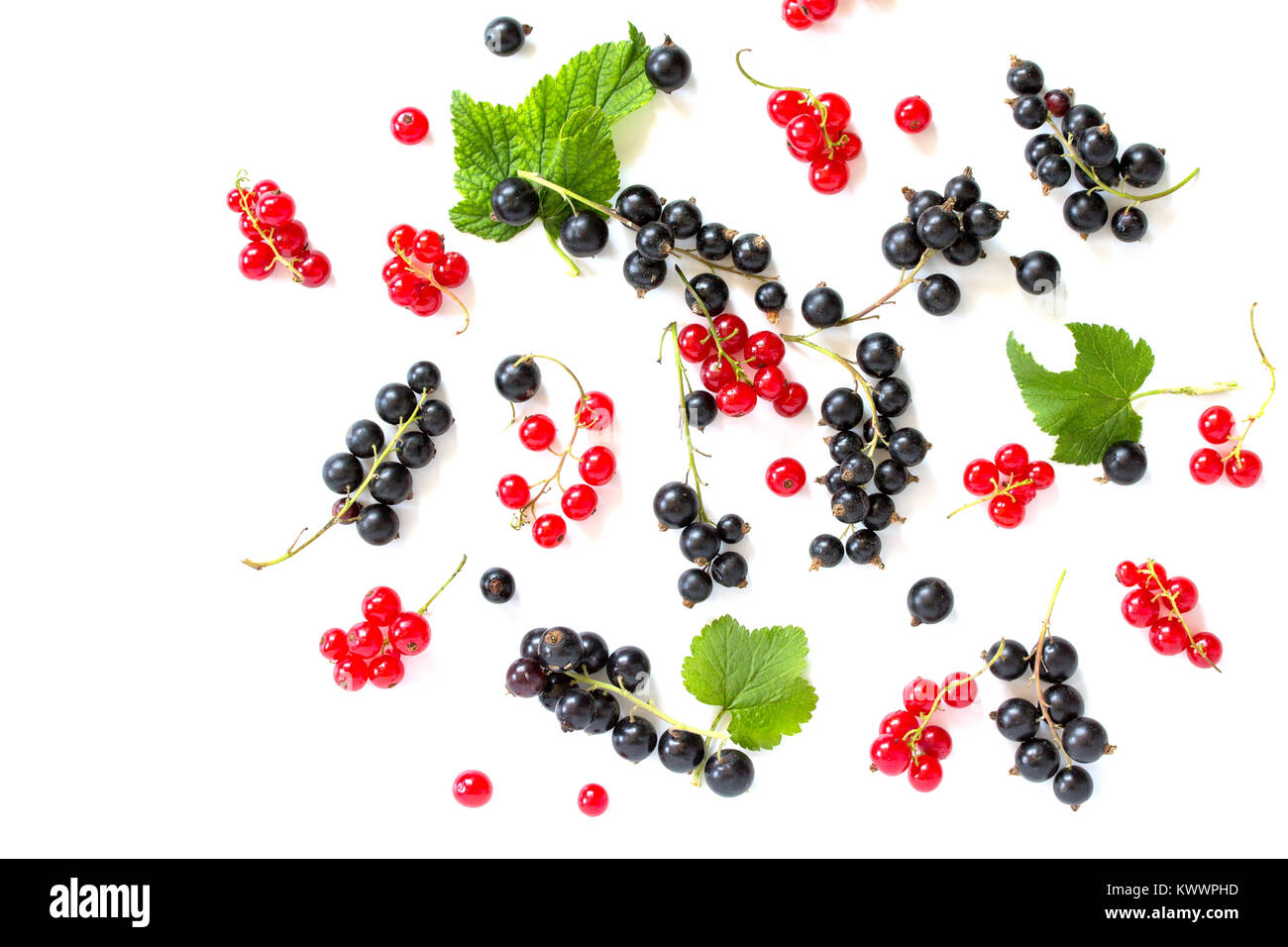 Berries of black and red currants isolated on white background. Still ...