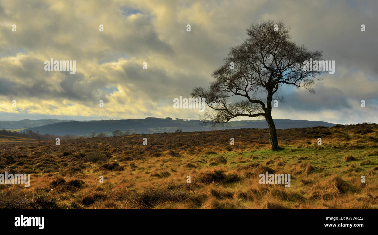 On Lawrence Field Stock Photo - Alamy