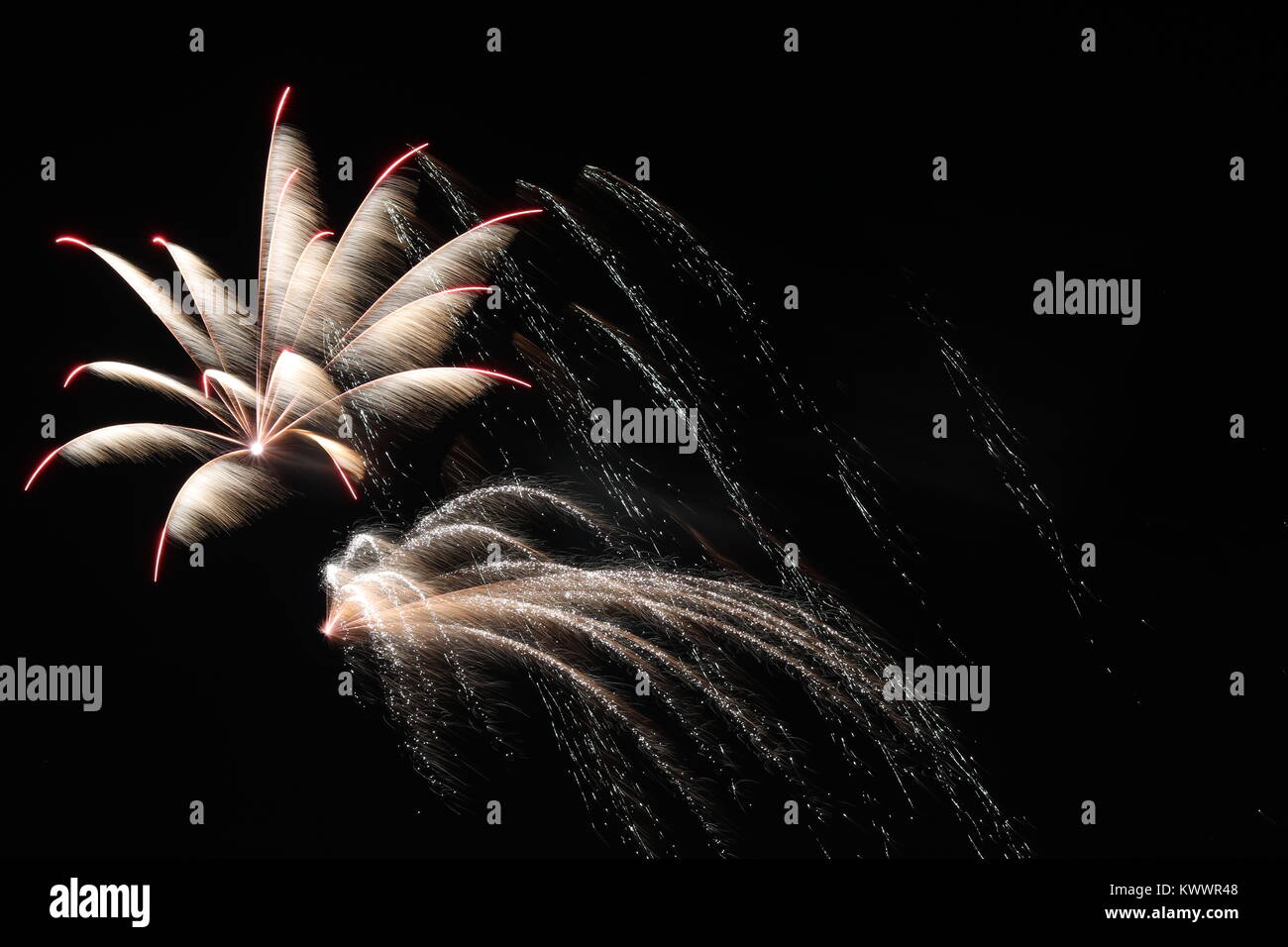 Palm tree fireworks hi-res stock photography and images - Alamy