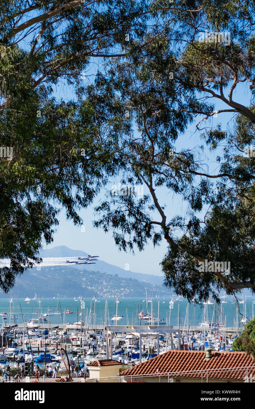 Blue Angels through the trees over a Marina Stock Photo - Alamy