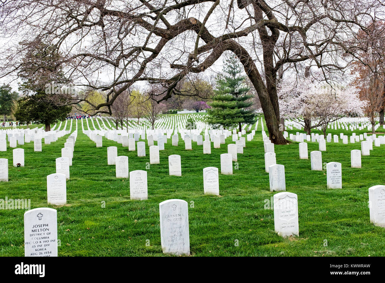 Grave markers arlington national cemetery hi-res stock photography and ...