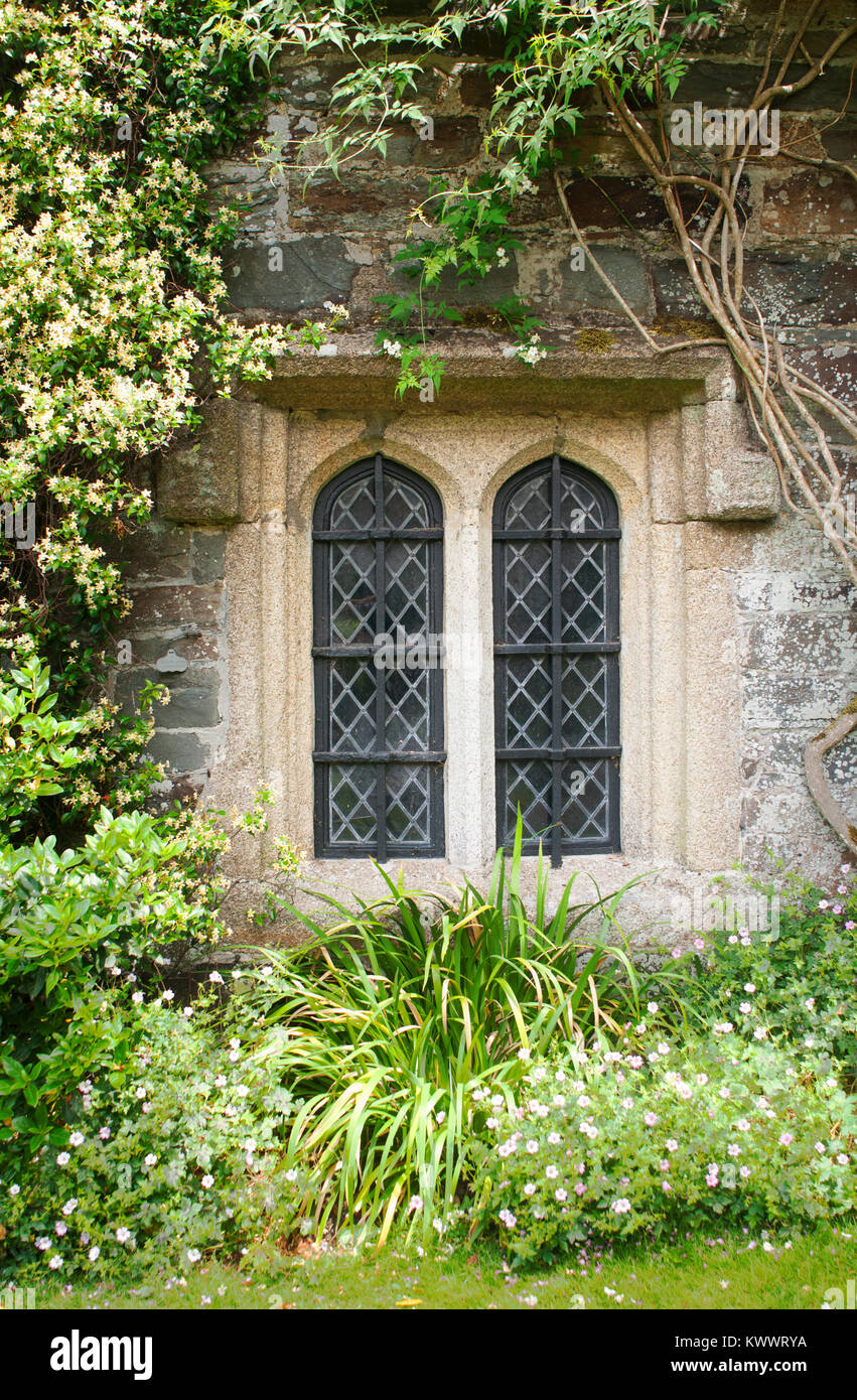 An old, medieval window surrounded by climbing plants - John Gollop ...
