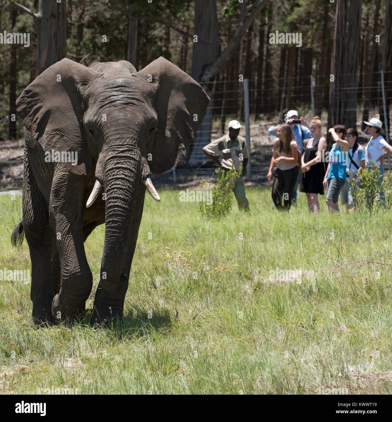 South africa park rangers hi-res stock photography and images - Alamy