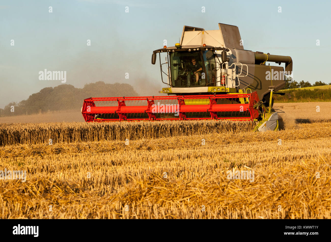 A combine harvester cutting corn Stock Photo - Alamy A combine harvester cutting corn Stock Photo - Alamy