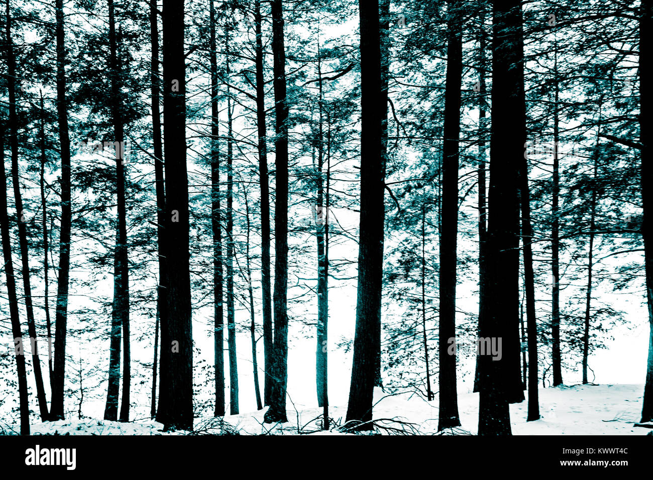 Minimal tree landscape background hi-res stock photography and images ...