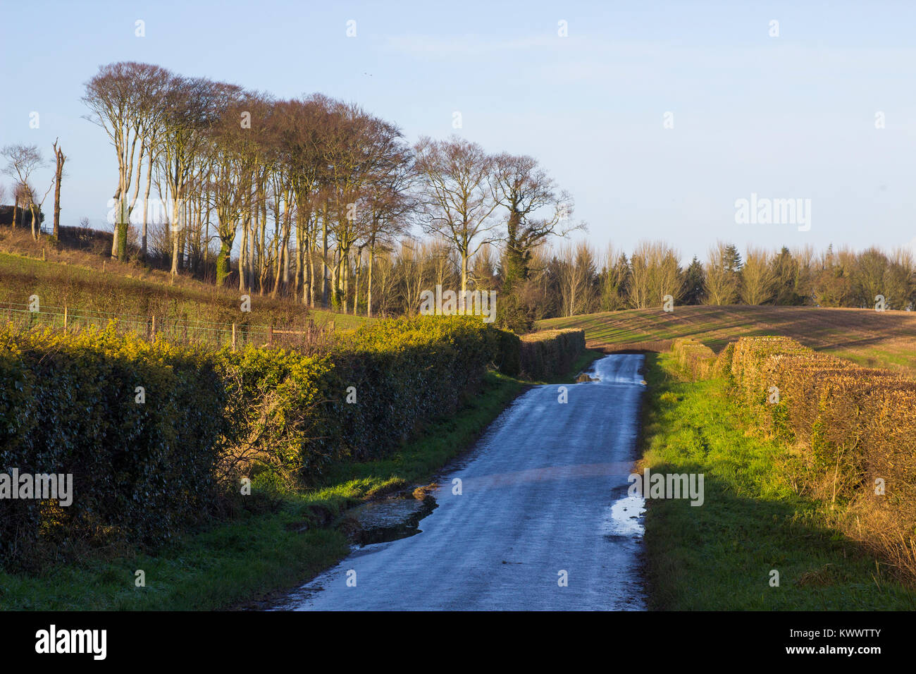 A wet asphalt country road in Northern Ireland running into the ...