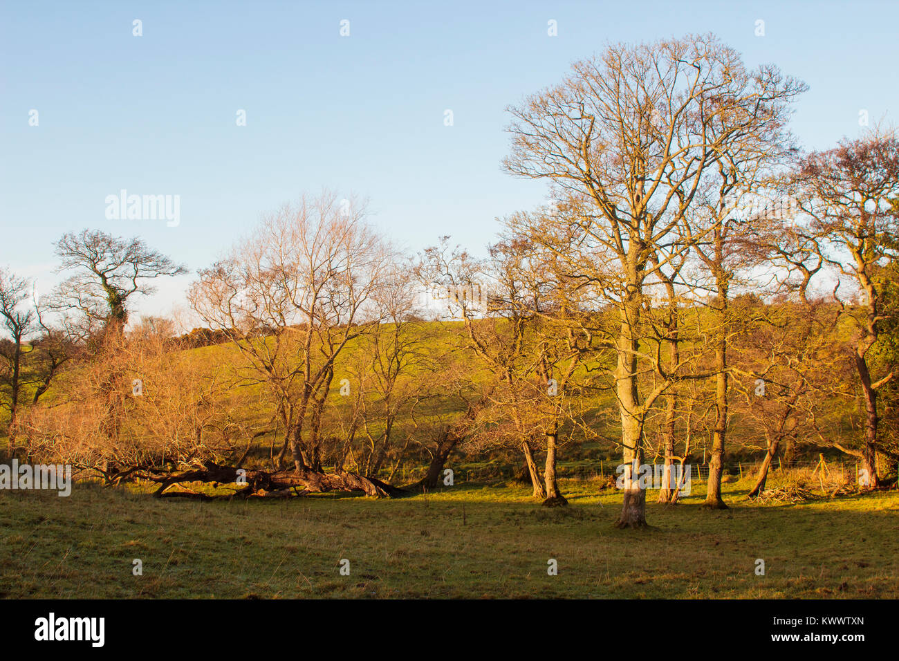 A typical midwinter landscape in the small hills and valleys of County ...