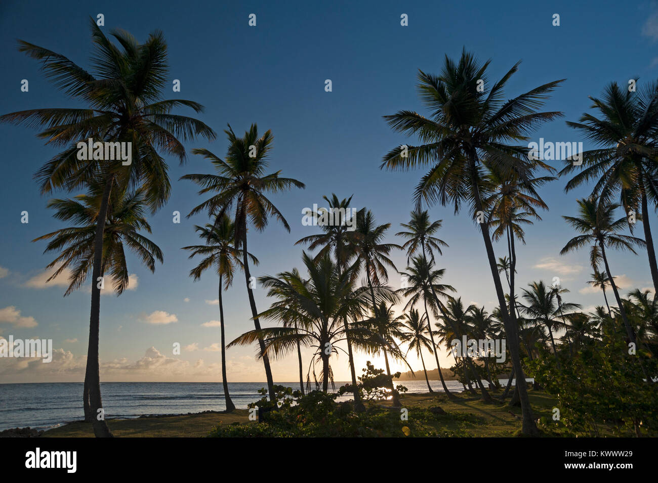 Beautiful tropical beach at dawn Stock Photo - Alamy