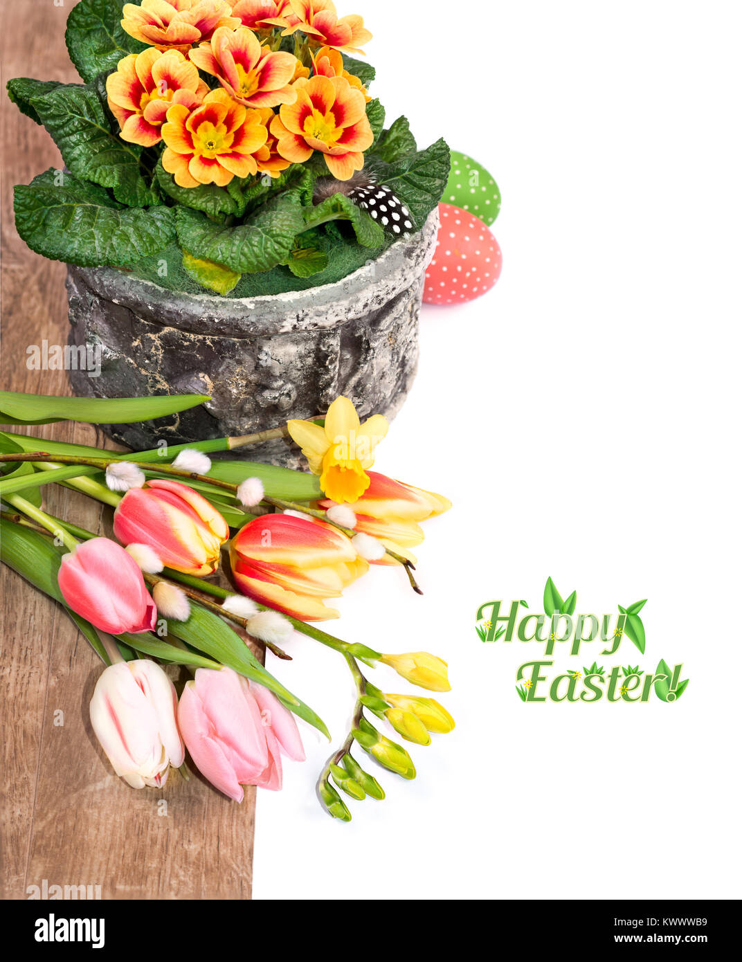 Easter border with primrose, spring flowers and painted eggs on wood ...