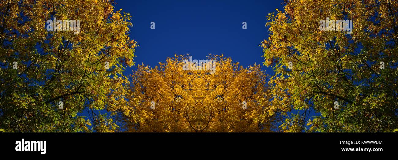 Autumnal Symmetrical Impressions from Berlin by Alfred Georg Sonsalla ...