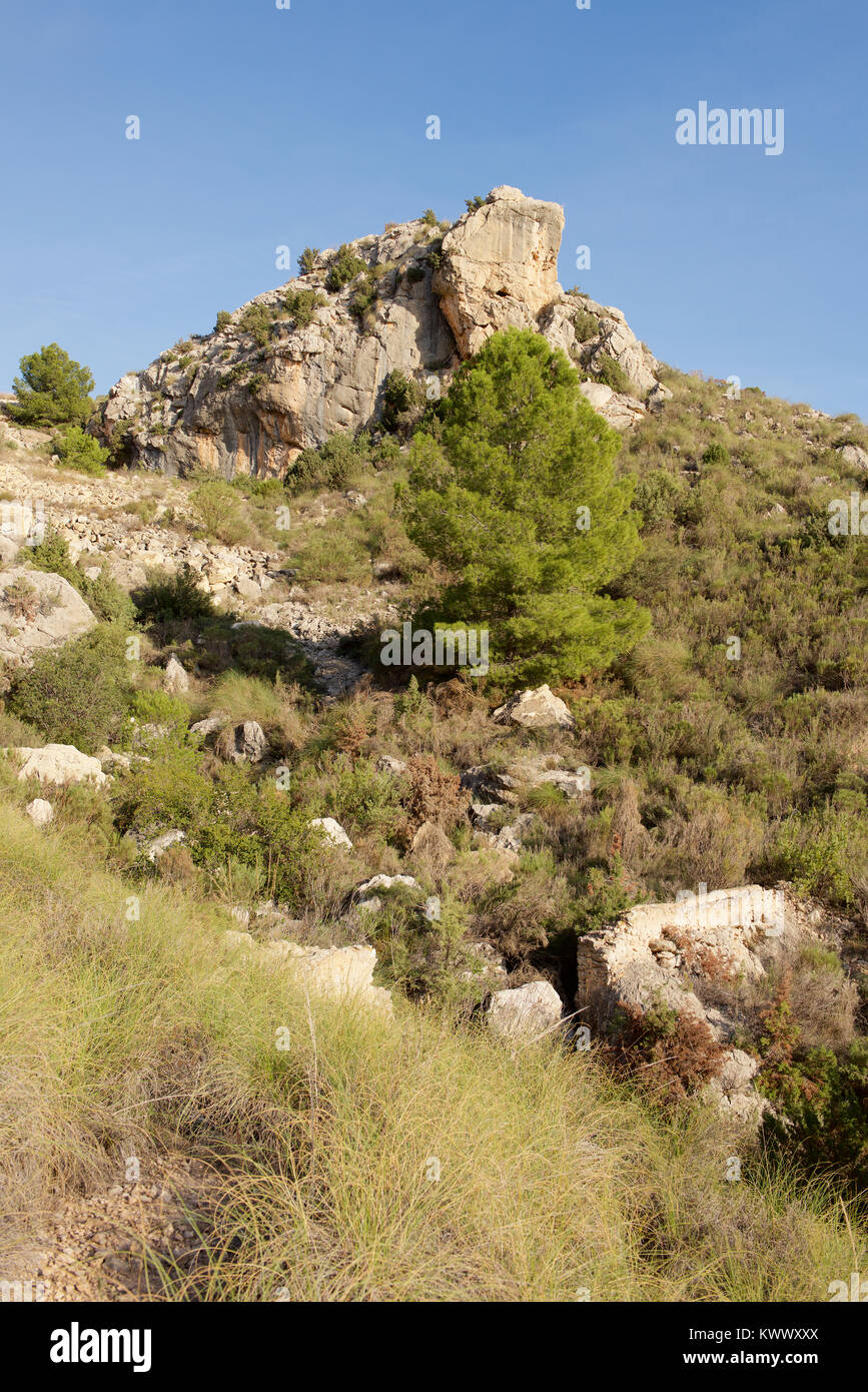 Landscape of rocks and trees near Mula, Murcia, Spain Stock Photo - Alamy