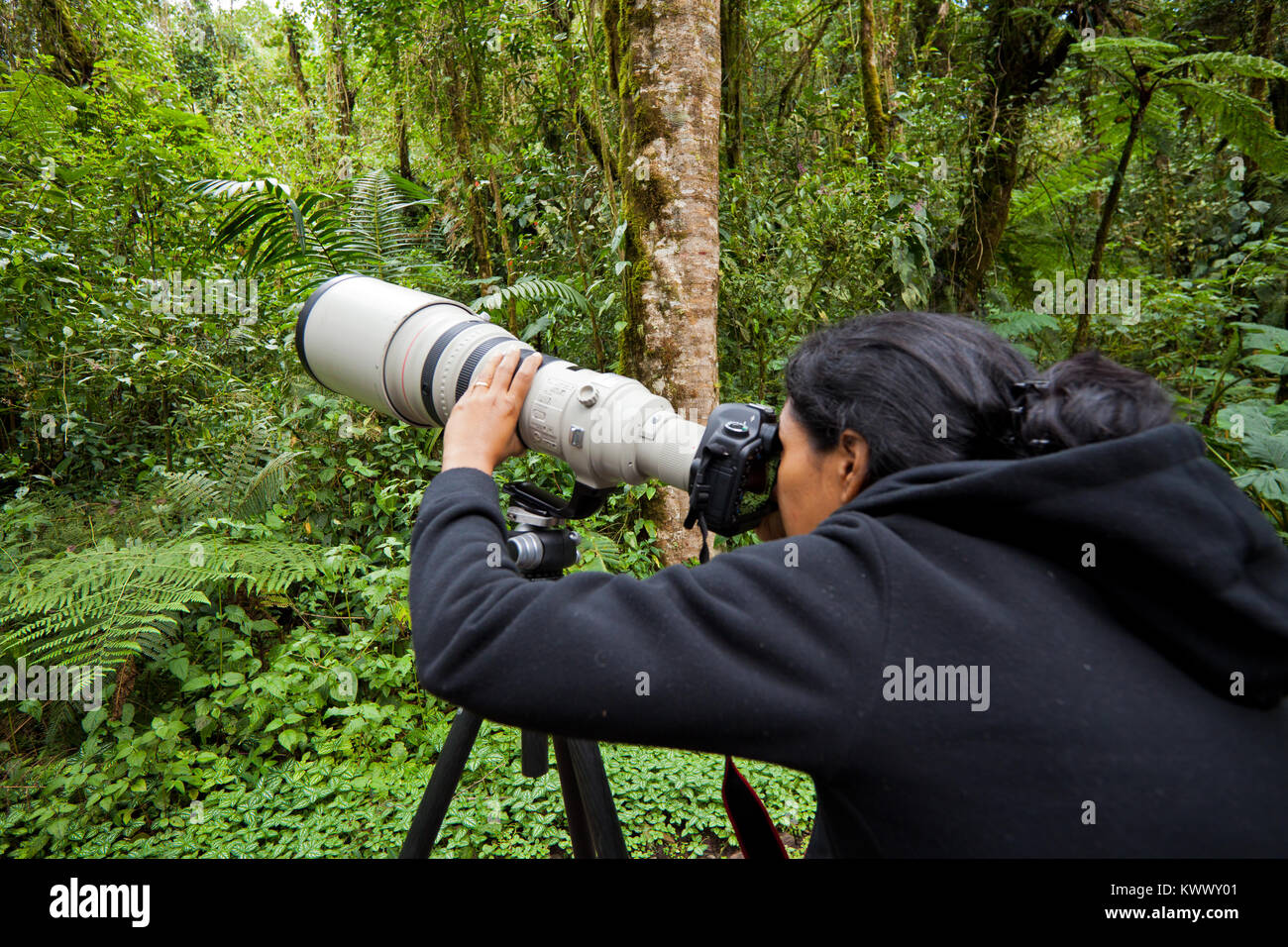 Huge camera lens hi-res stock photography and images - Alamy