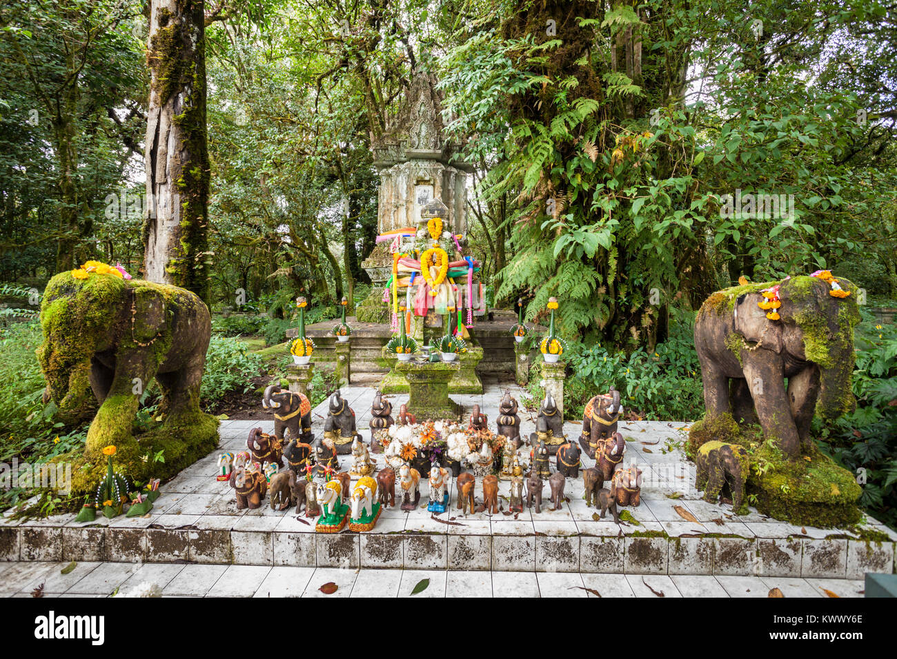 Doi inthanon national park top hi-res stock photography and images - Alamy