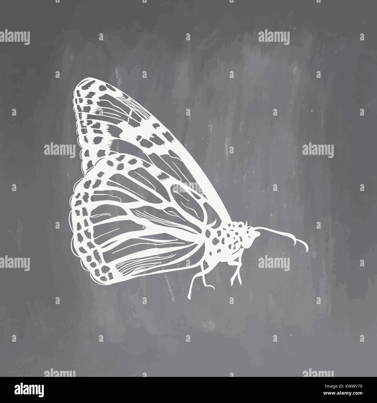 Hand Drawn Butterfly Sketch Symbol isolated on chalkboard. Vector ...
