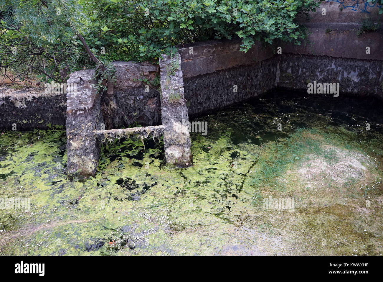 Dirt water in concrete pond Stock Photo - Alamy