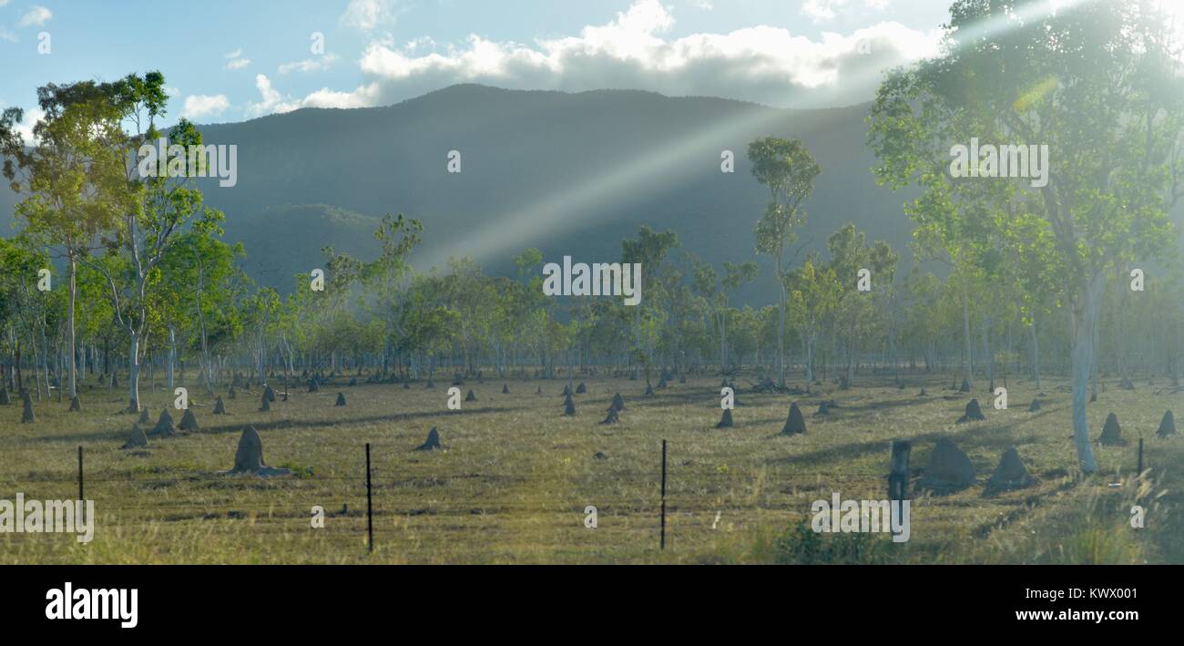 Rays of sunlight penetrate from behind a mountain onto farmland, Mount ...
