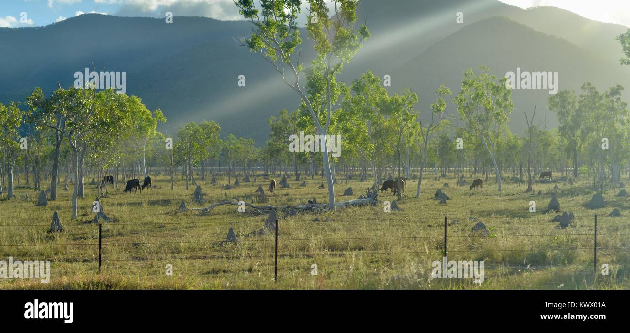 Mount elliot hi-res stock photography and images - Alamy