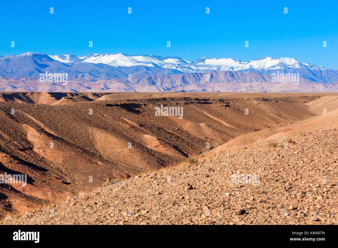 High Atlas, also called the Grand Atlas Mountains is a mountain range ...