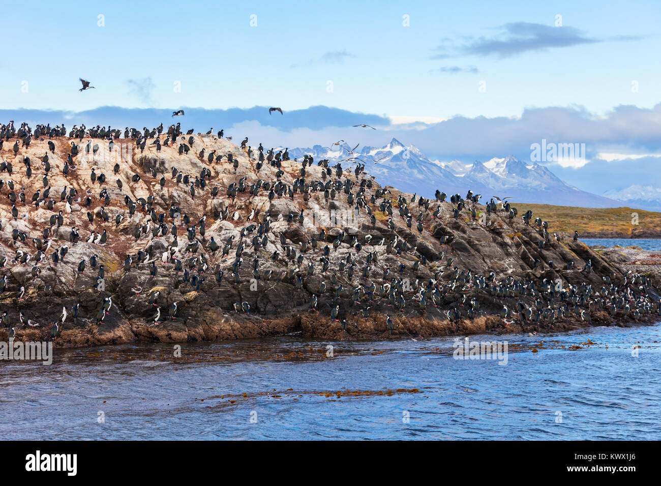 Bird Island in the Beagle Channel near the Ushuaia city. Ushuaia is the ...