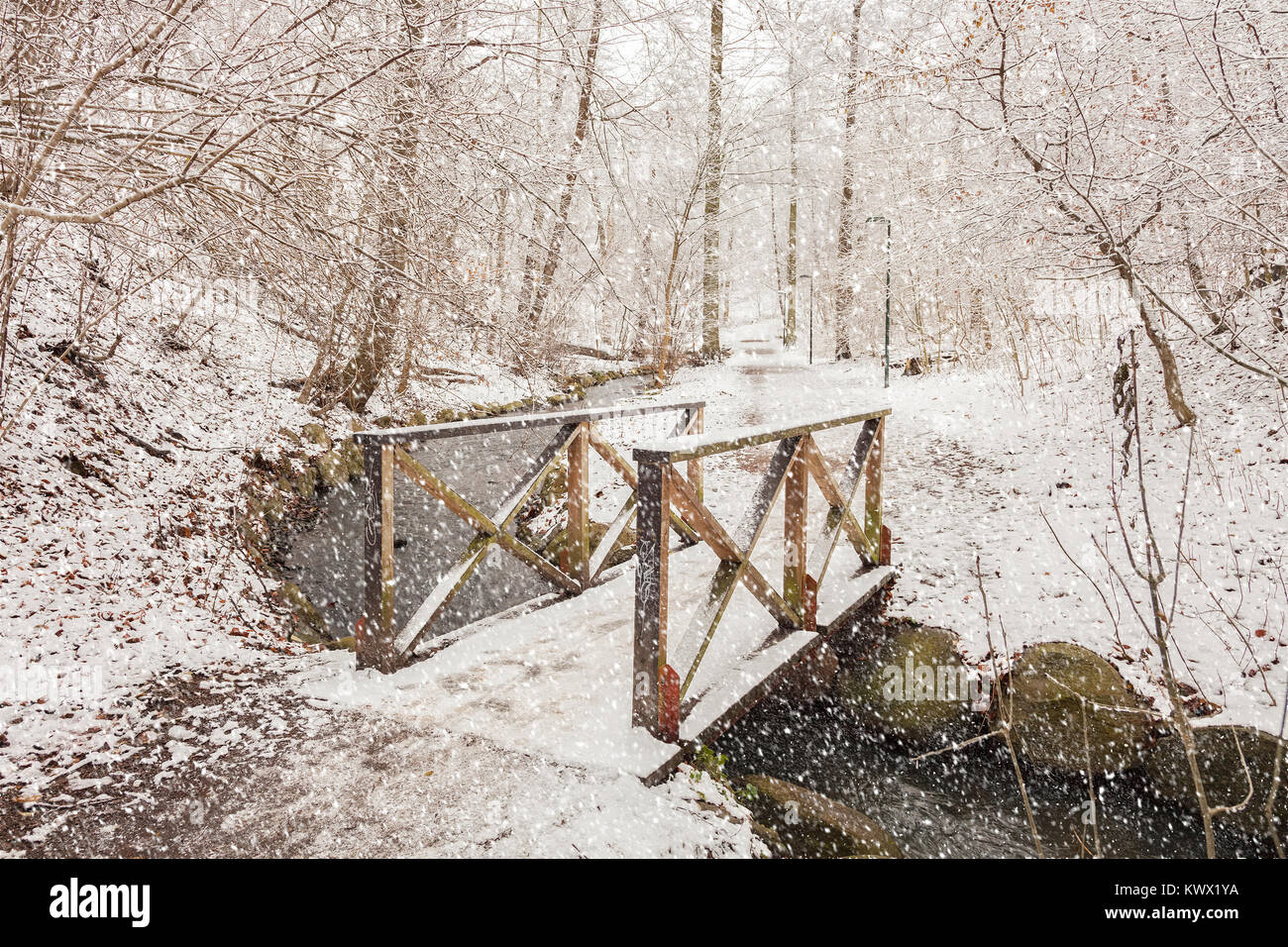 Foot bridge over stream in snowy forest Stock Photo - Alamy