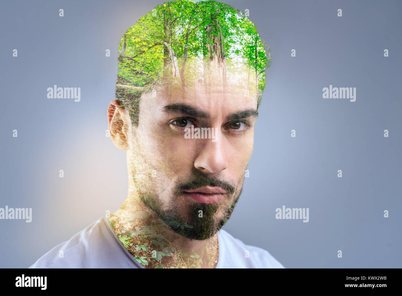 Portrait of a handsome bearded man Stock Photo - Alamy