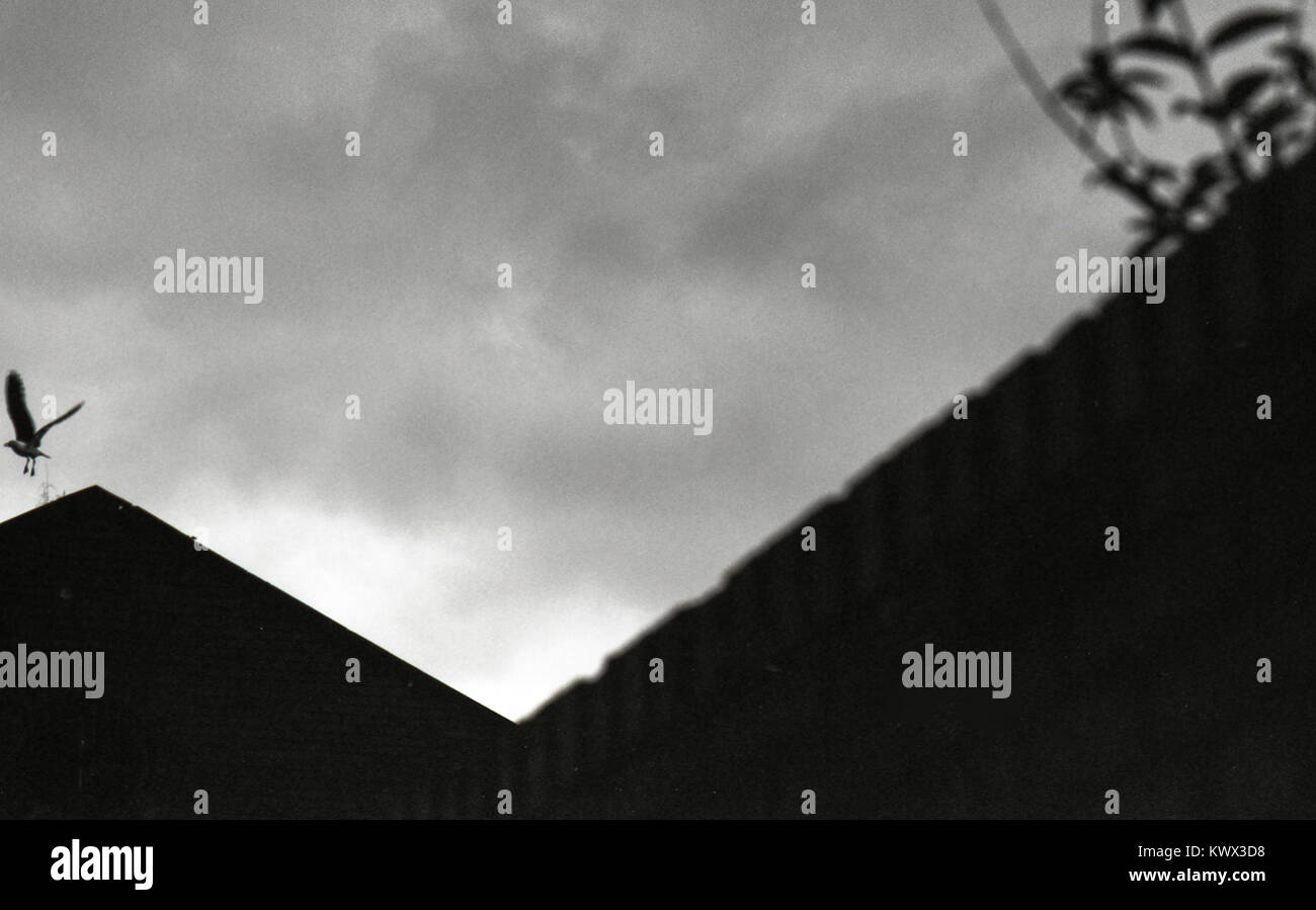 135 Feet High Resolution Stock Photography and Images - Alamy