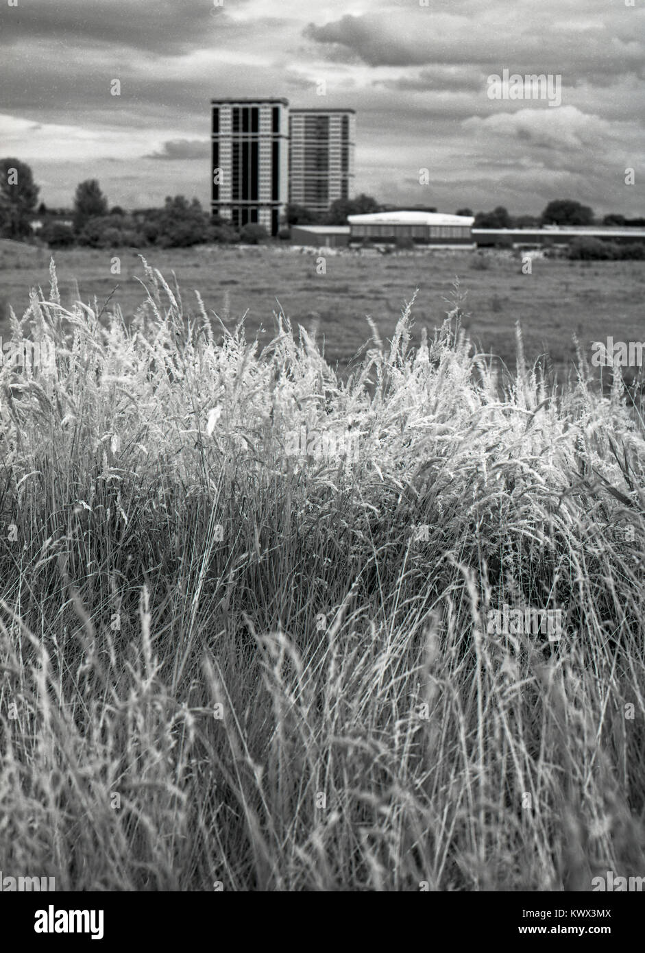 Hutchesontown glasgow hi-res stock photography and images - Alamy