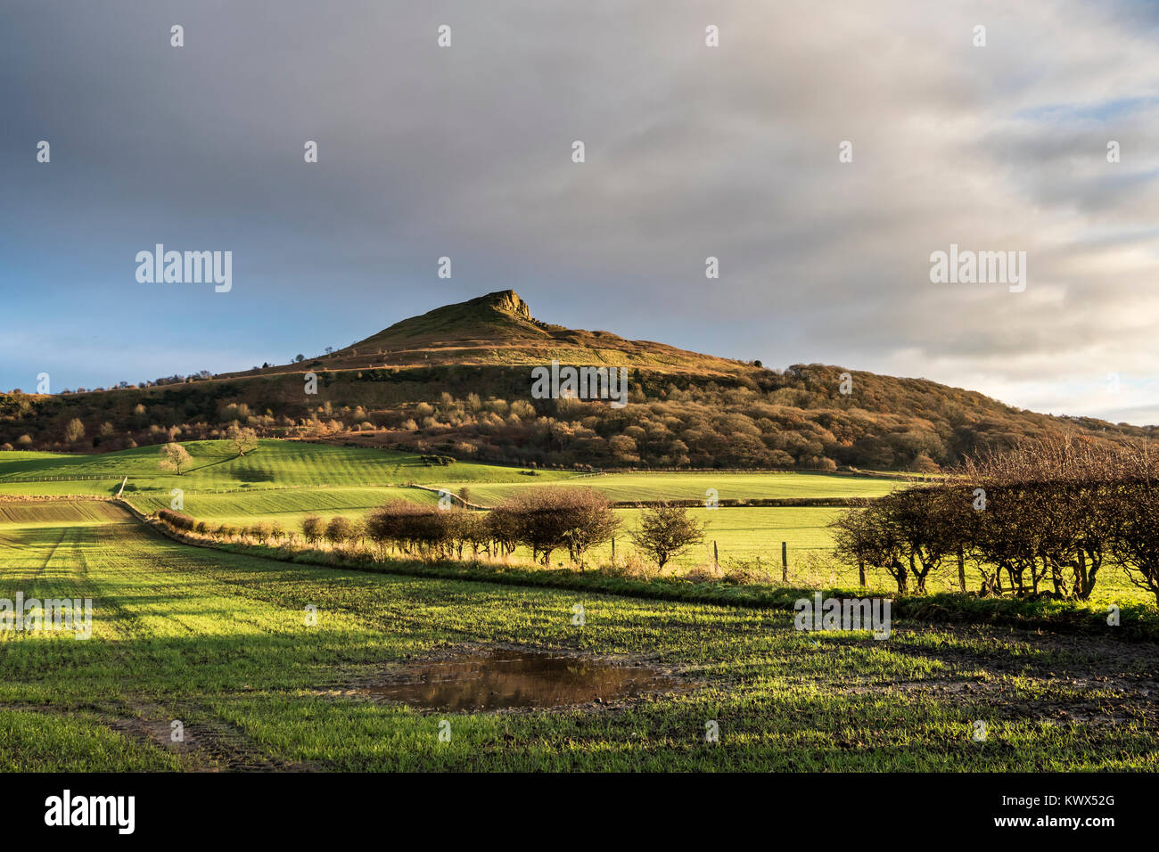 Roseberry Topping, North Yorkshire Stock Photo - Alamy