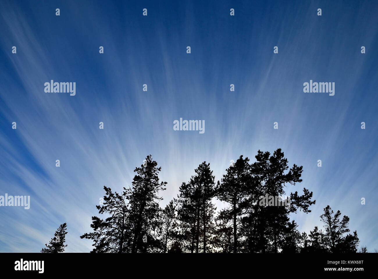 A horizontal image of the setting sun making light beams shine over a ...