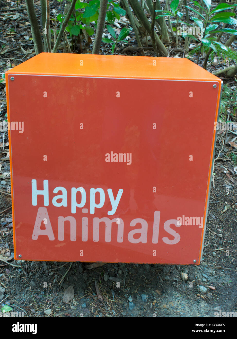 Happy Animals Sign On An Orange Square Box Stock Photo - Alamy