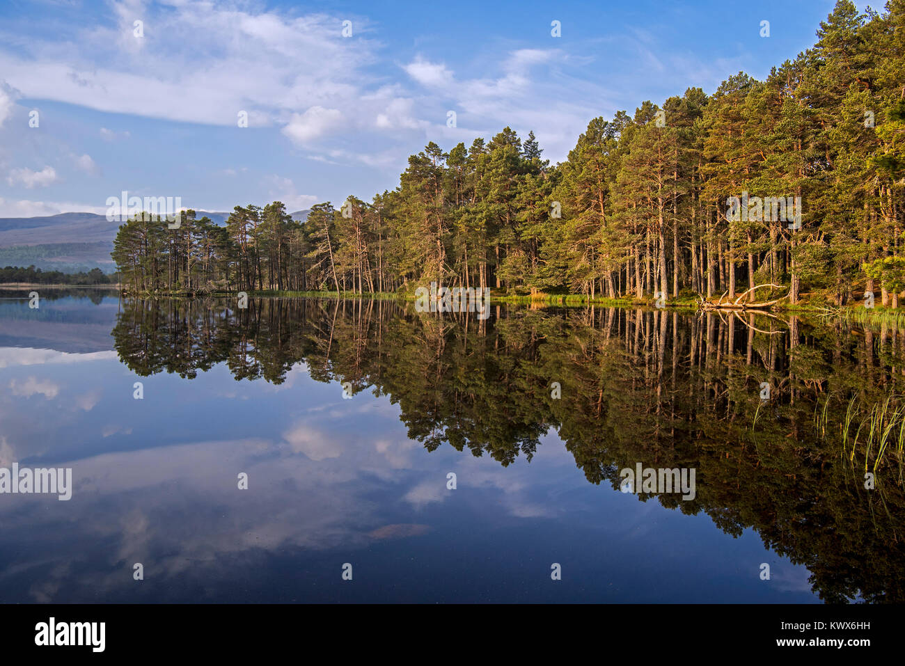 Loch garten hi-res stock photography and images - Alamy