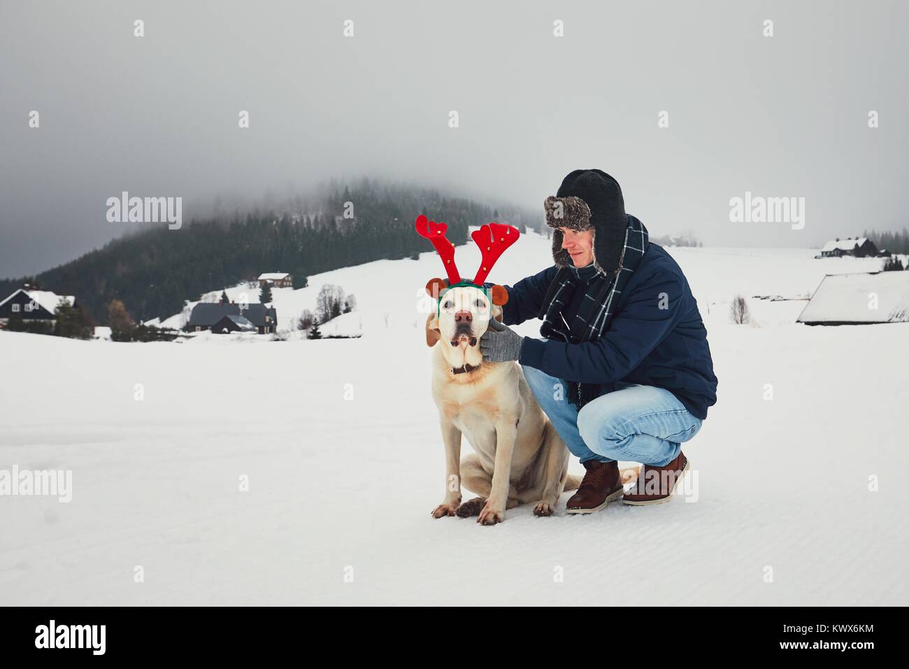 Funny walk with dog in the snowy landscape. Labrador retriever is ...